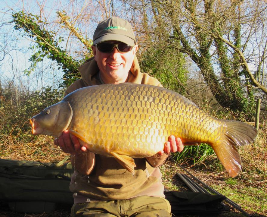 Sunshine Common | Total Carp